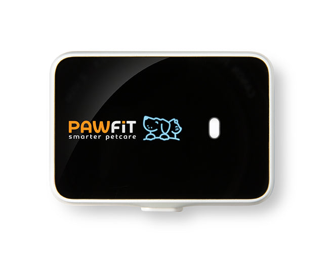PAWFIT 3 - Fitness Dog GPS Tracker – My Dogs World